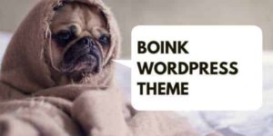 30 Best WordPress Themes 2020 Edition (Parody)